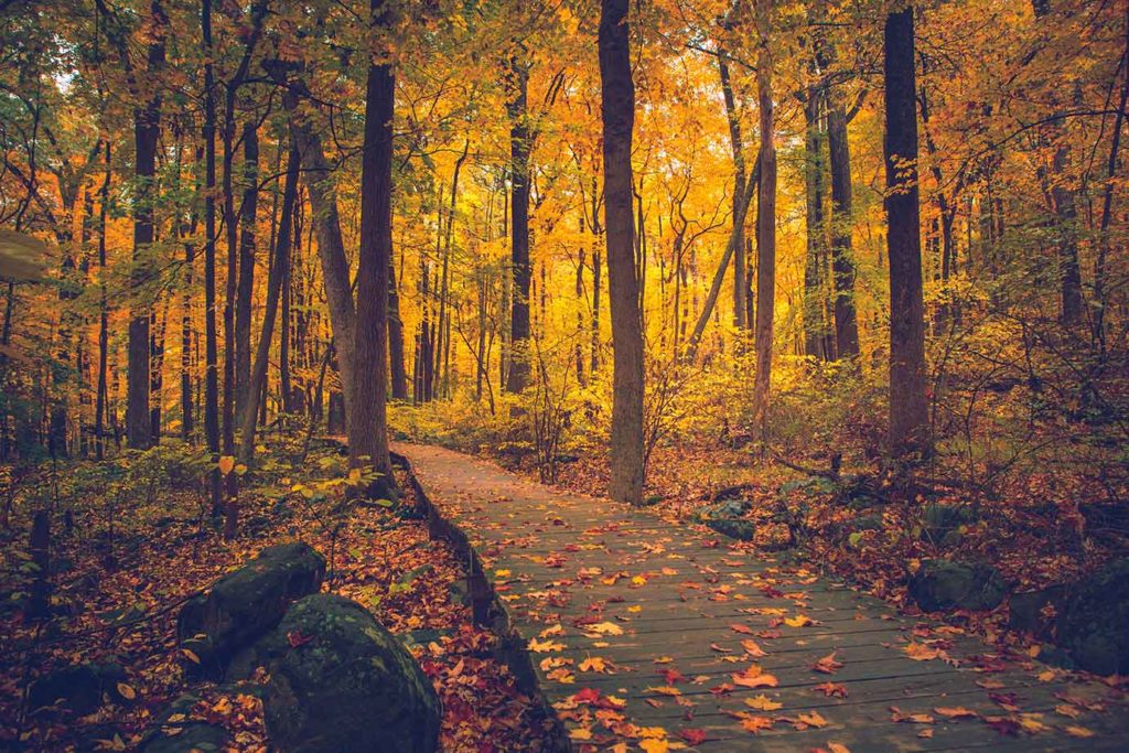 Where Can You See Beautiful Fall Foliage While Hiking On The East Coast?